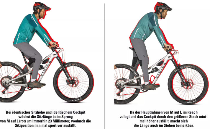 Wahl der richtigen Rahmengröße: Neben Körpergröße zählen Proportionen | BIKE