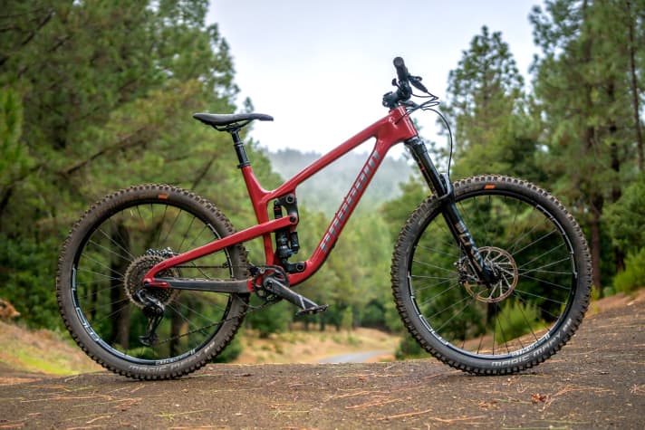 Propain-Enduro ab sofort auch in 29 Zoll | BIKE