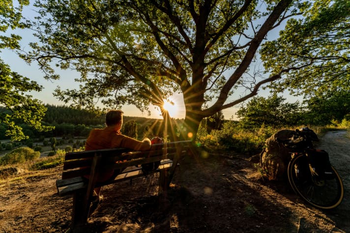 Heidschnuckenweg: Per Rad durch die Lüneburger Heide | BIKE