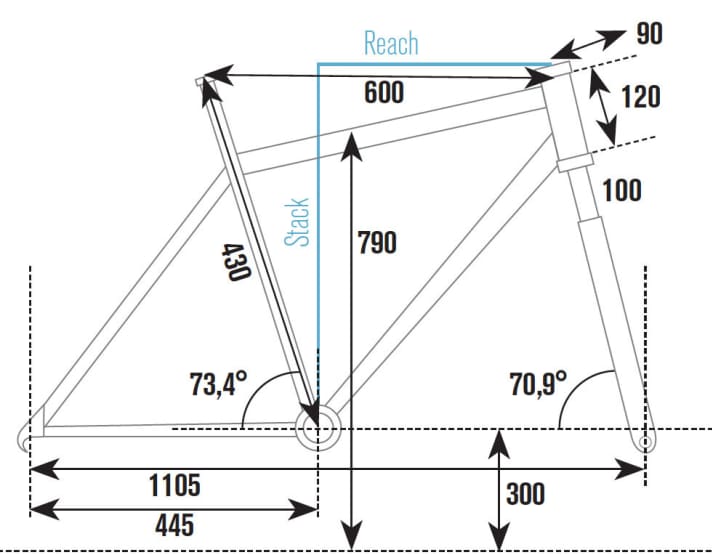 Poison Zyankali 29 Shimano XT Team im Test | BIKE