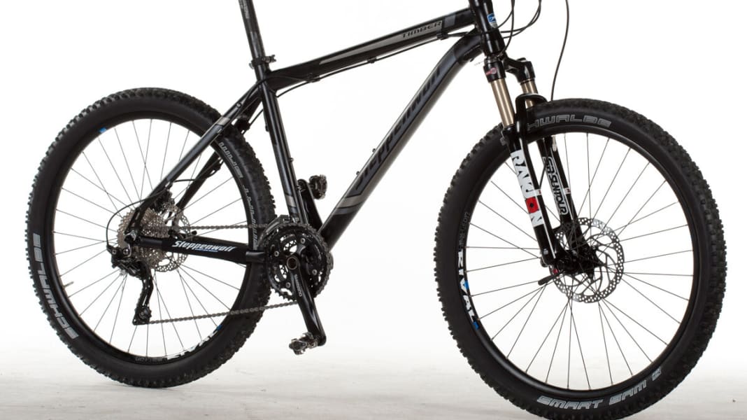 Steppenwolf Timber Elite | BIKE