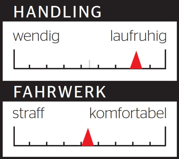 Bulls Wild Core im Test | BIKE