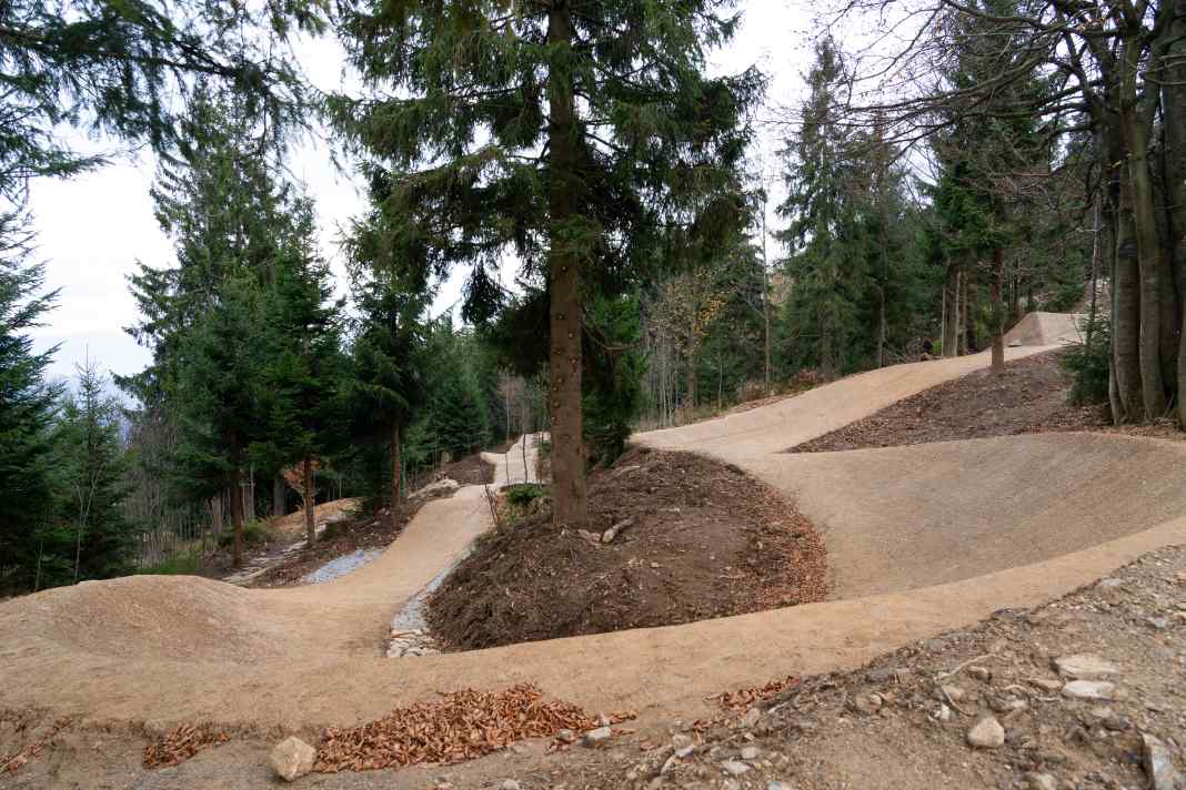 Bikepark Arber: Neuer Bikepark im Bayerischen Wald - Eröffnung 2025 | BIKE