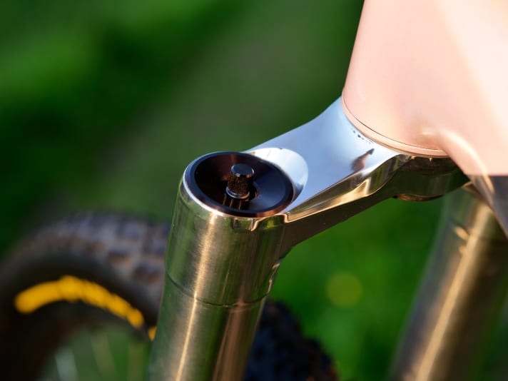 Dangerholm Spark RC Hypersonic - ein Traum in Carbon und ... Pink! | BIKE