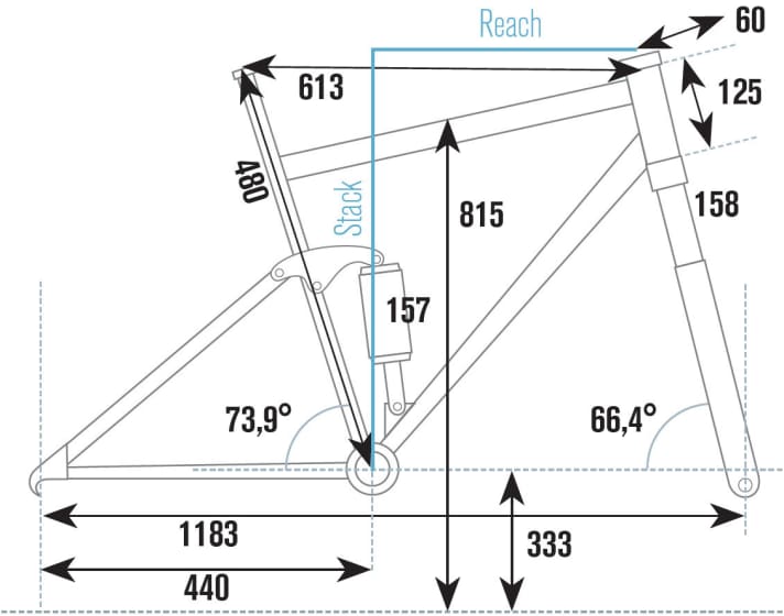 Votec VM Elite im Test | BIKE