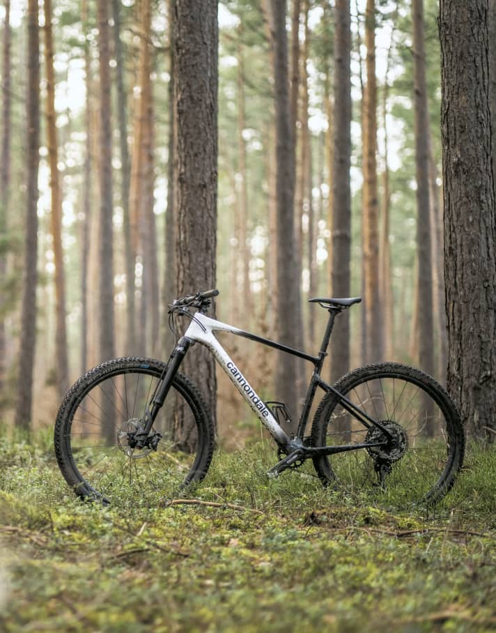Zweibeiner Oder Hardtail | Fallen Cube Rahmen wirklich kleiner aus? – ROPW