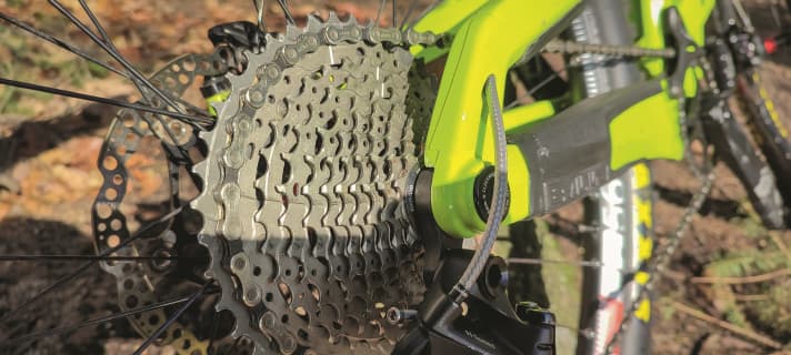 Extreme Leistungen: Faszination MTB-Vielfahrer | BIKE