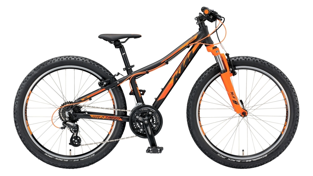 KTM WILD SPEED 24.24 V | BIKE