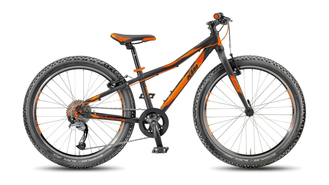 KTM WILD SPEED 24.9 light | BIKE