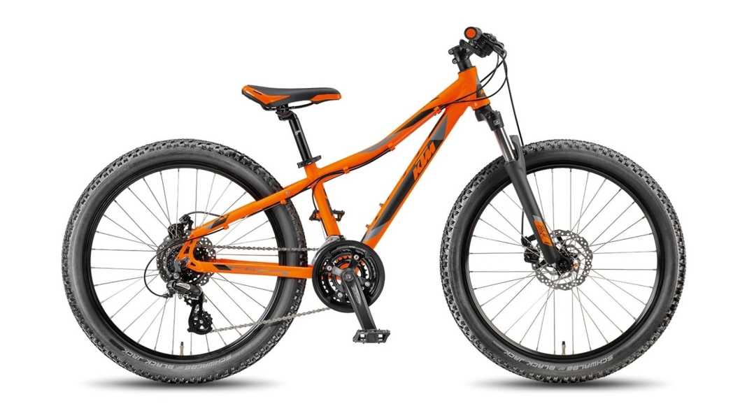 KTM WILD SPEED 24.24 Disc M | BIKE