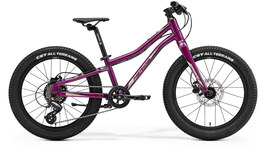 Merida MATTS J.20+ | BIKE