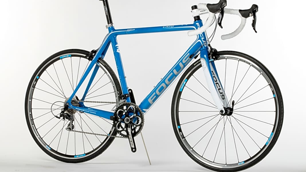 Focus Cayo 4.0 | TOUR