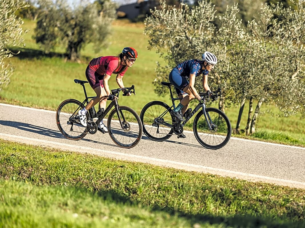 Marathonbike / Endurance Rennrad | TOUR