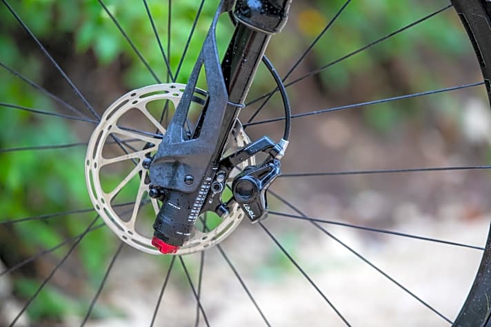 Lefty Ocho: halbe Gabel, doppelter Hingucker | BIKE