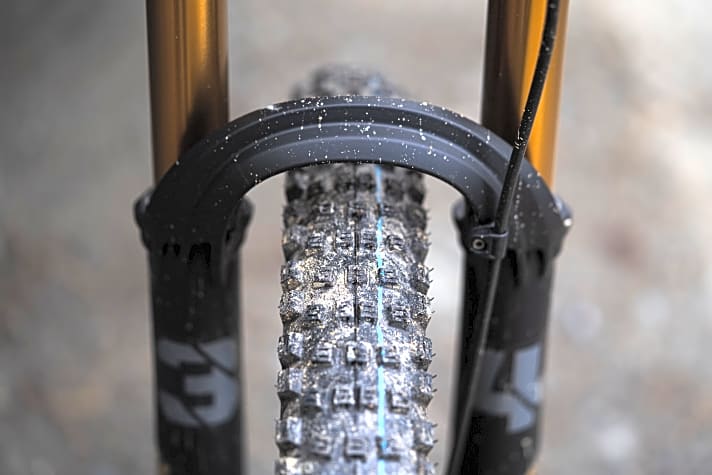 Wicked Will: Schwalbes neuer Allround-Reifen | BIKE