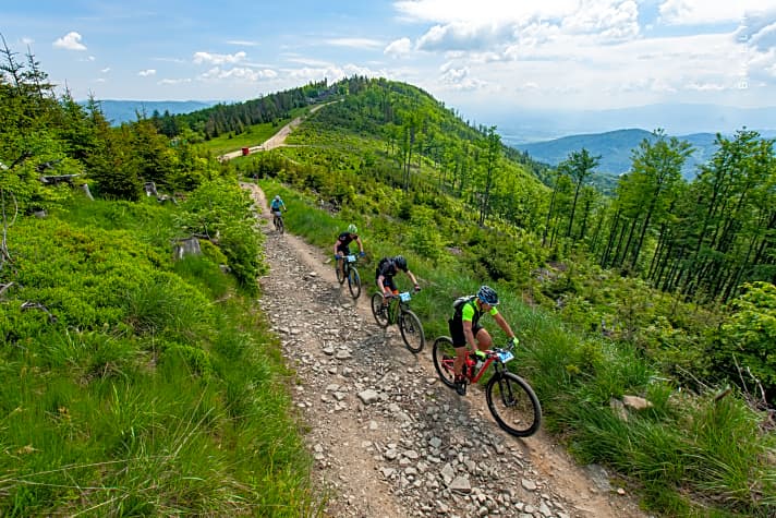 Best of: Die trendigsten MTB-Etappenrennen 2023 | BIKE