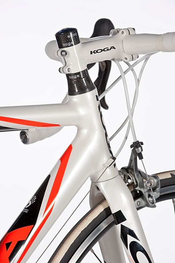 Koga Miyata Team Edition | TOUR