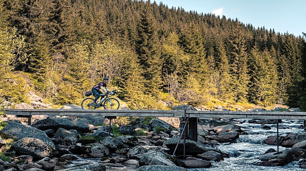 Bohemian Border Bash Race - Gravelbikepacking Rennbericht | TOUR