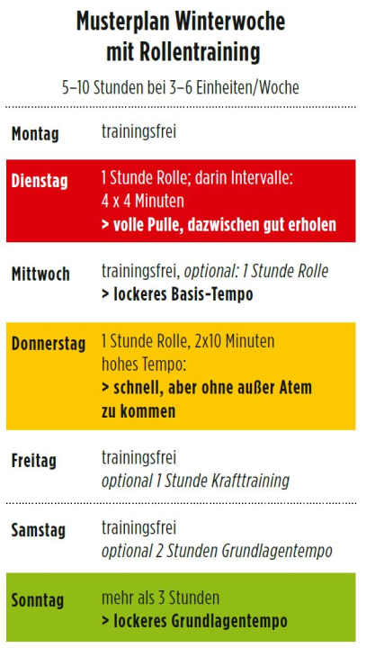 Rennrad-Trainingsplan 2025: Basis + Jahresplan | TOUR