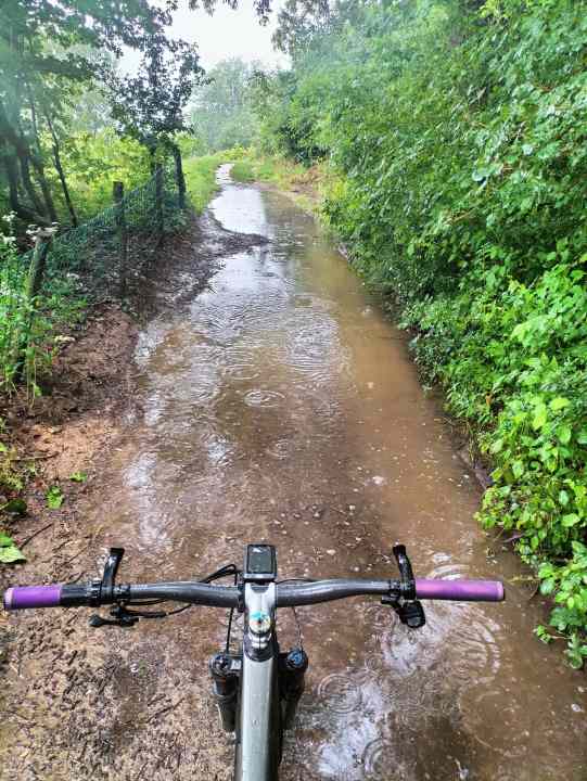 Dauertest-Report Specialized Epic 8 Expert: Edel-Racer im Matsch ...